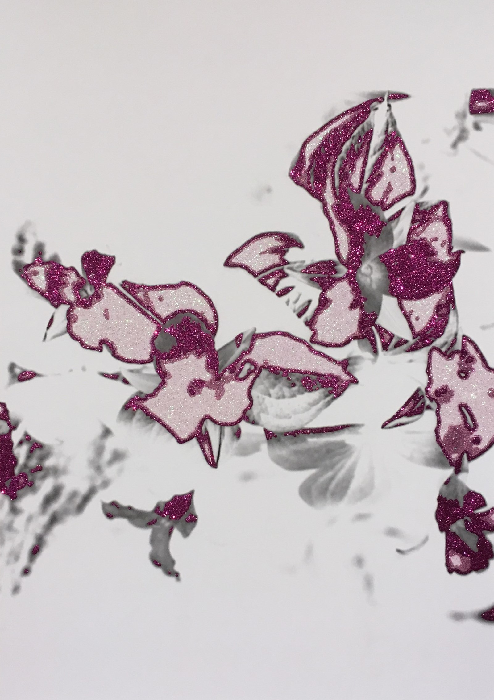 About – Kelly Hider