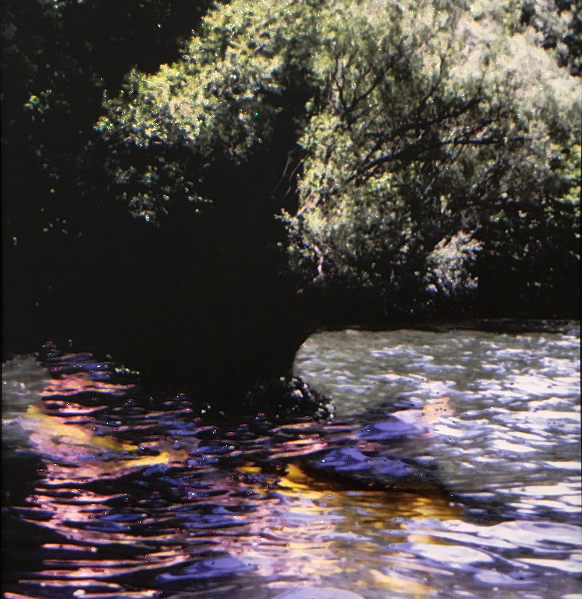 re: tracing – Kelly Hider