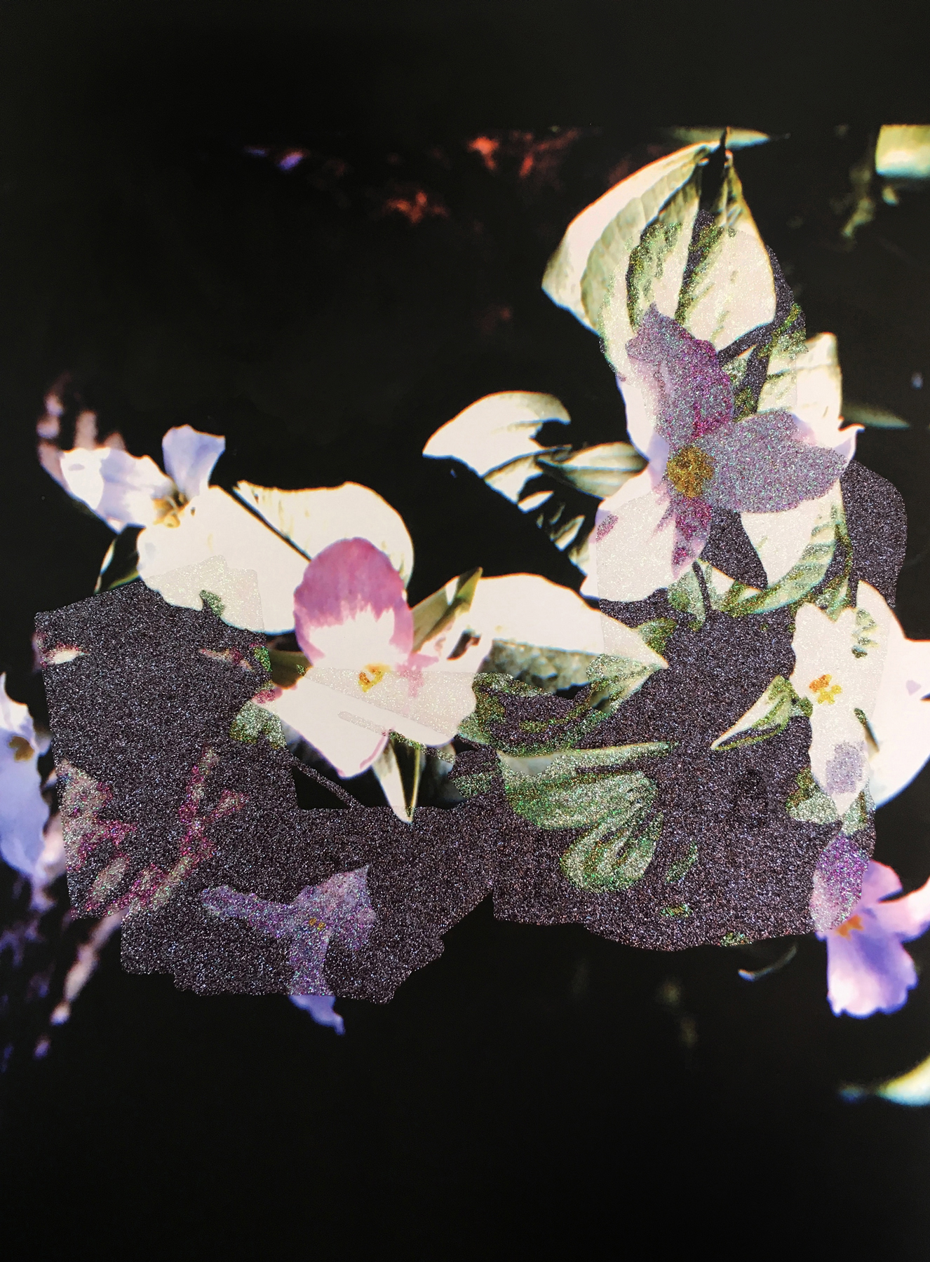 re: tracing – Kelly Hider